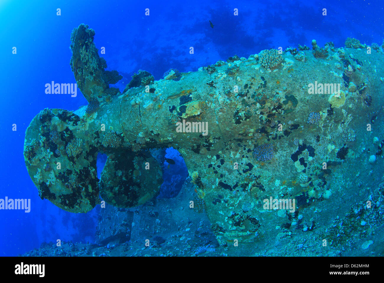 The Salem Express was a passenger ship that sank in the Red Sea Stock ...