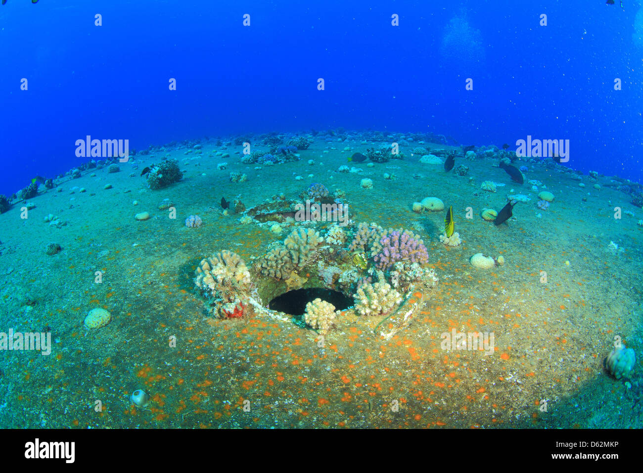 The Salem Express was a passenger ship that sank in the Red Sea Stock ...