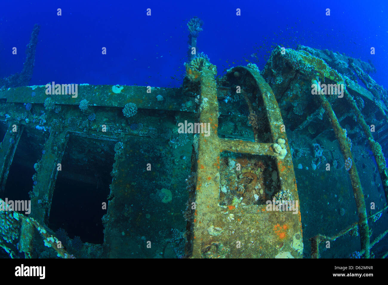 The Salem Express was a passenger ship that sank in the Red Sea Stock ...