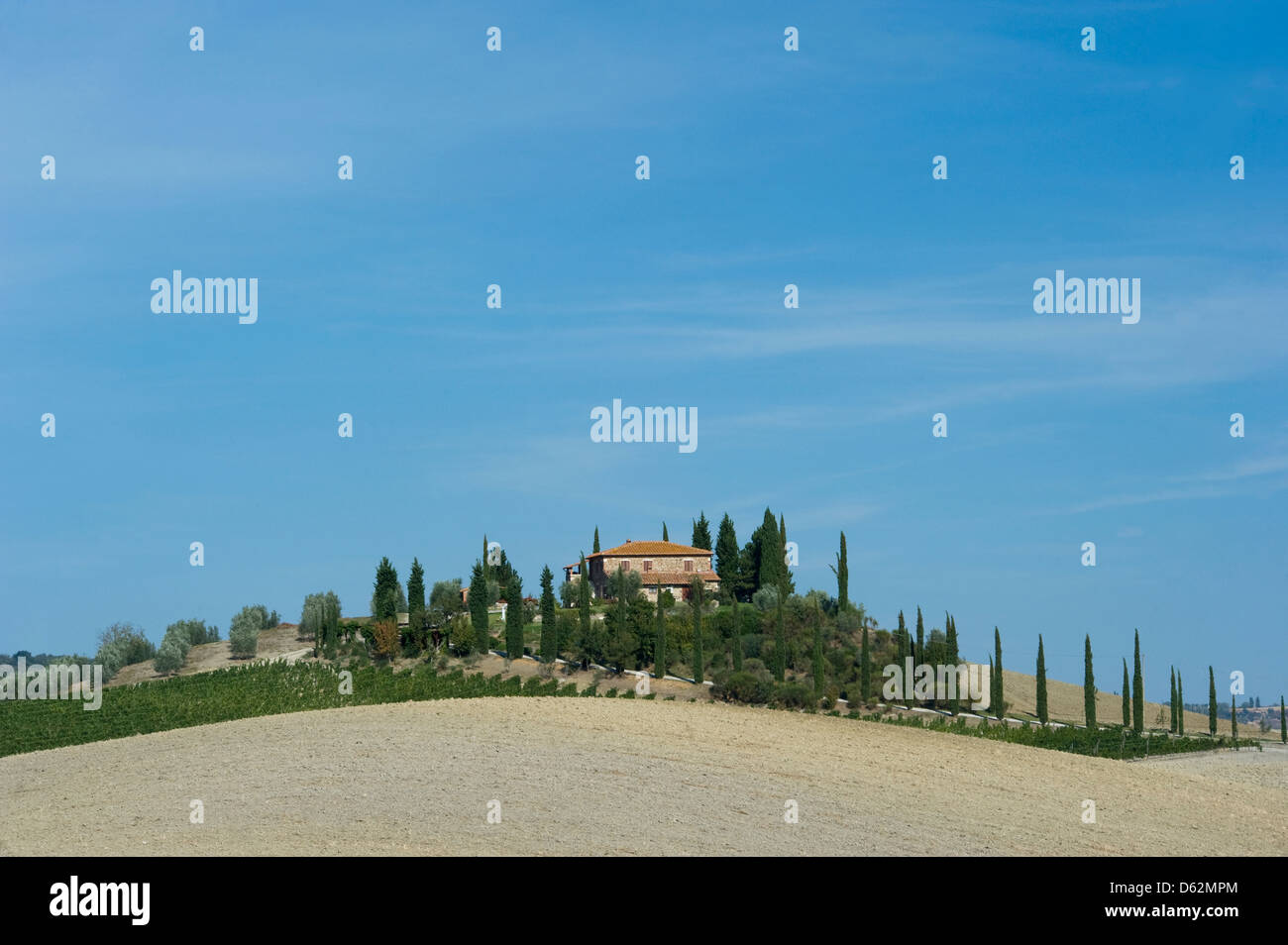 Cypress trees house hi-res stock photography and images - Alamy