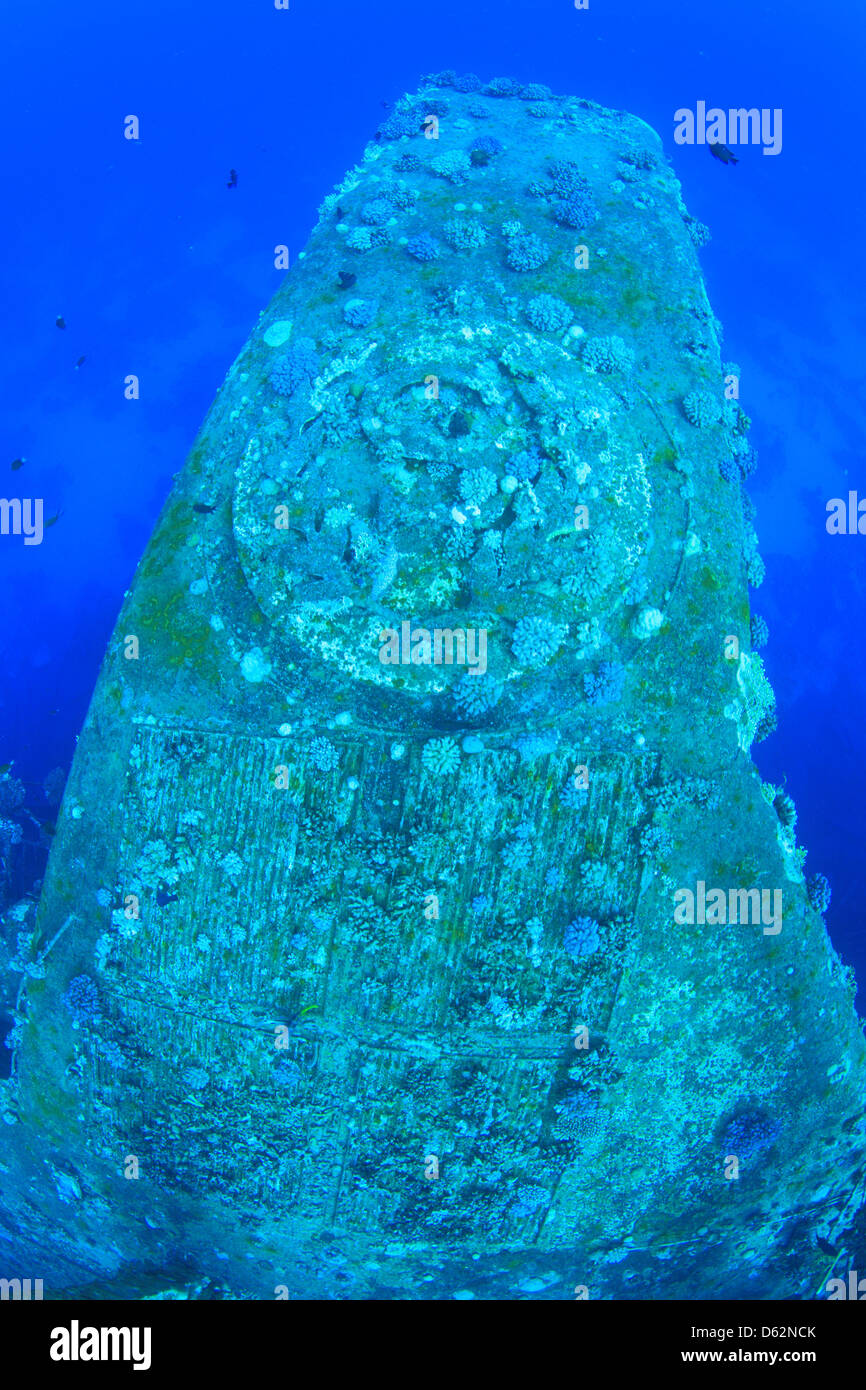 The Salem Express was a passenger ship that sank in the Red Sea Stock ...