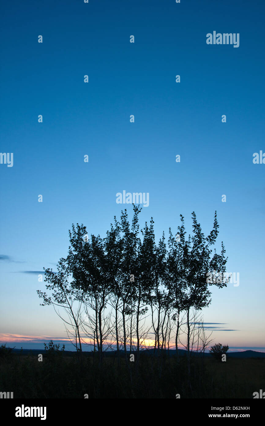 A beautiful sunset, blue lights, trees Stock Photo - Alamy