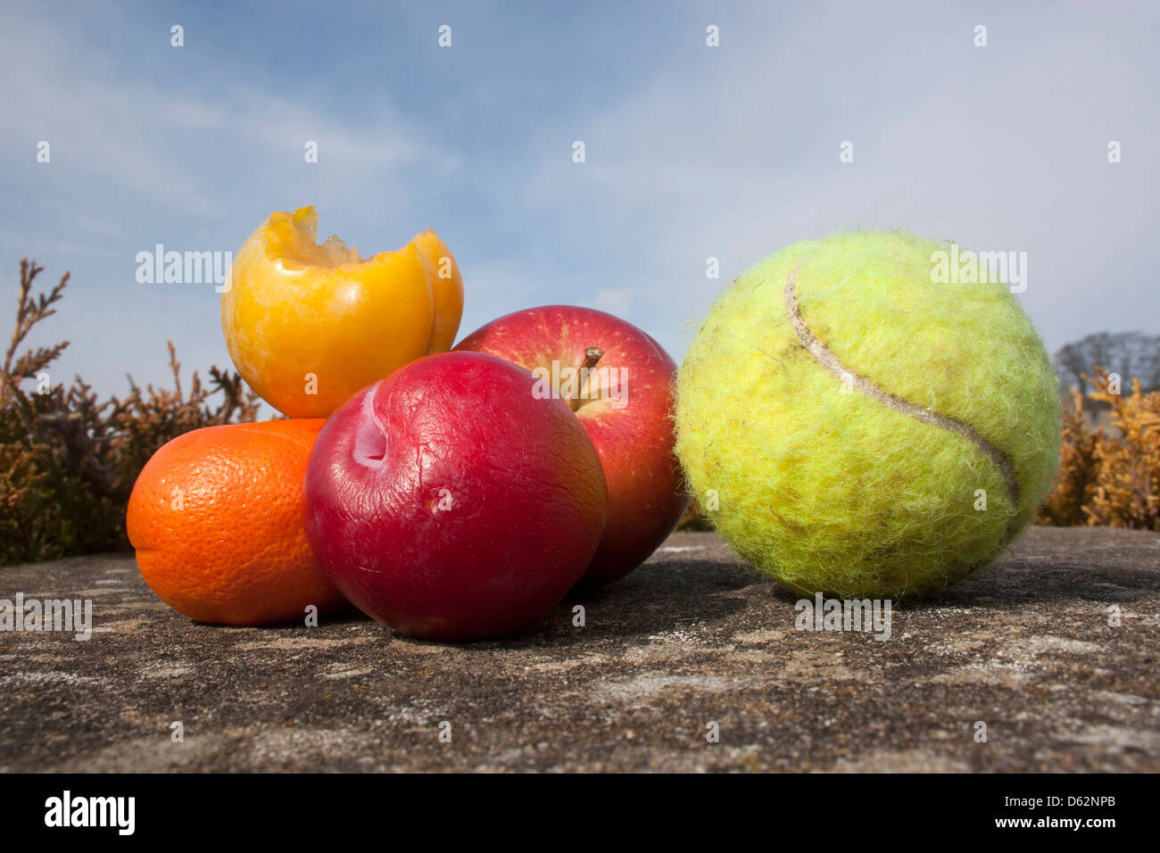 Fruit and a Tennis Ball Stock Photo - Alamy