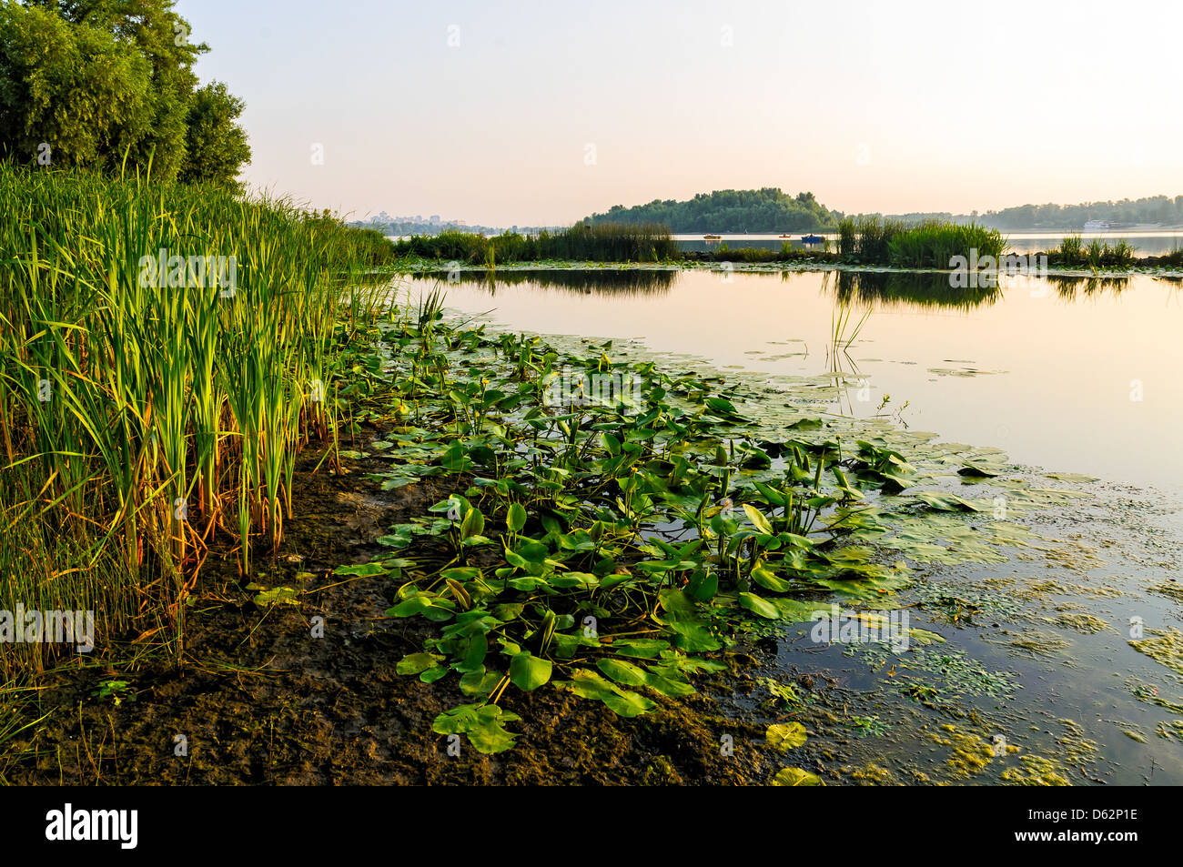A quiet view of the Dniper river soon at dawn Stock Photo - Alamy
