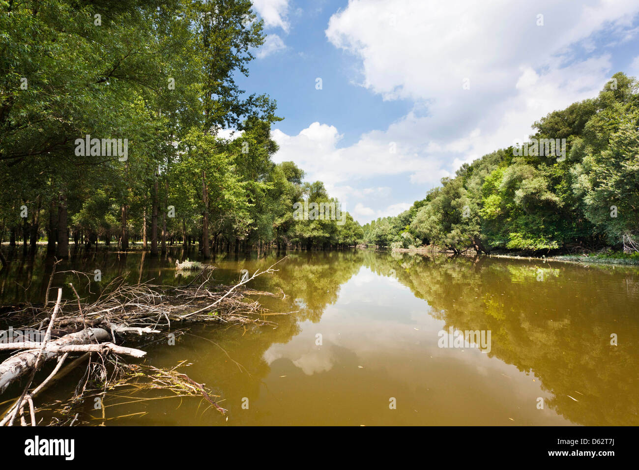 Danube meander hi-res stock photography and images - Alamy