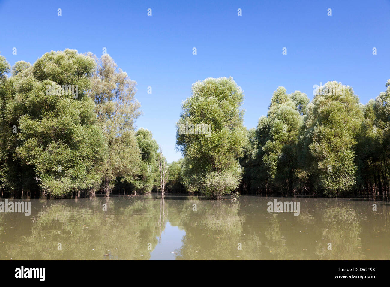 Danube meander hi-res stock photography and images - Alamy