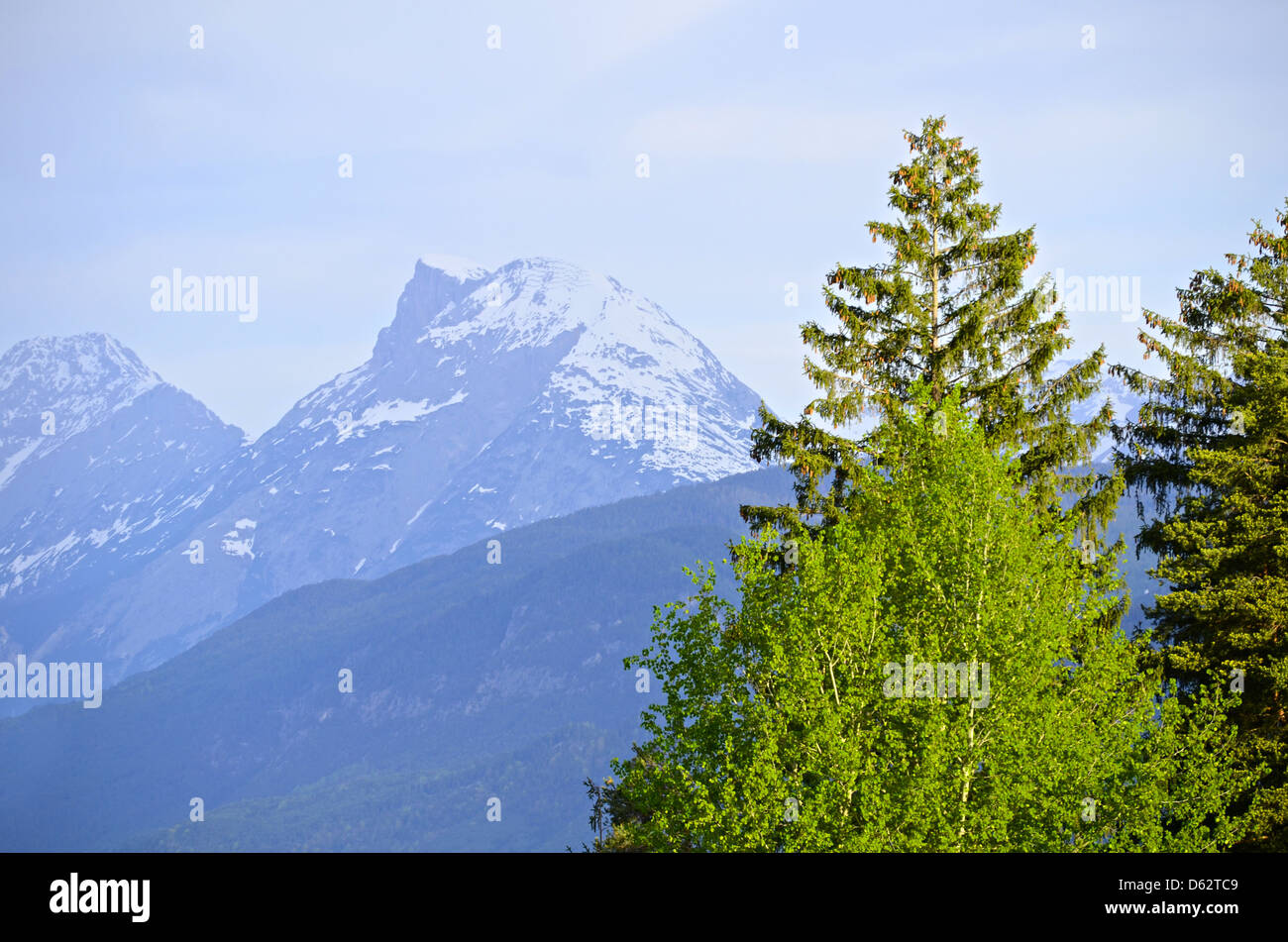summer Alps mountain in Austria Stock Photo - Alamy