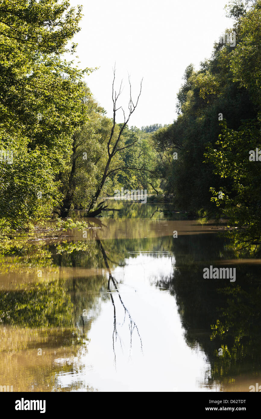 The Gemenc Forest in the Danube-Drava National Park, Hungary Stock ...