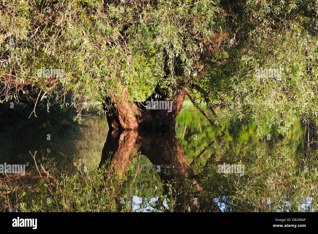 Duna Drava Nemzeti Park High Resolution Stock Photography and Images ...