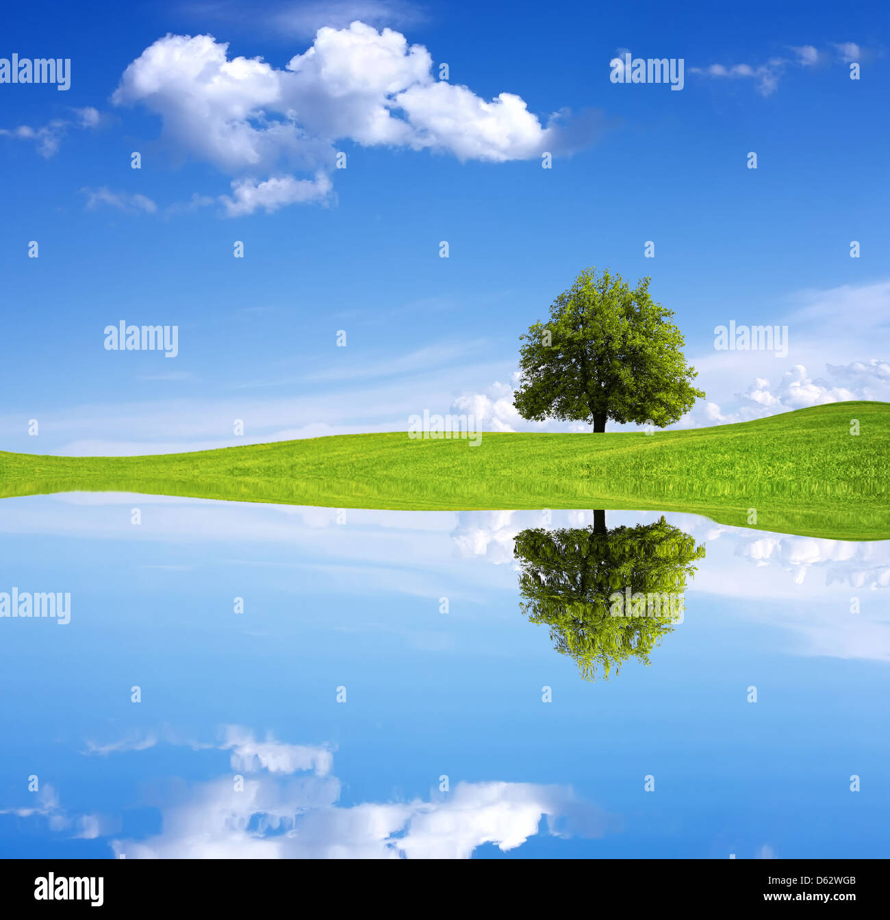 Beauty in nature Stock Photo - Alamy