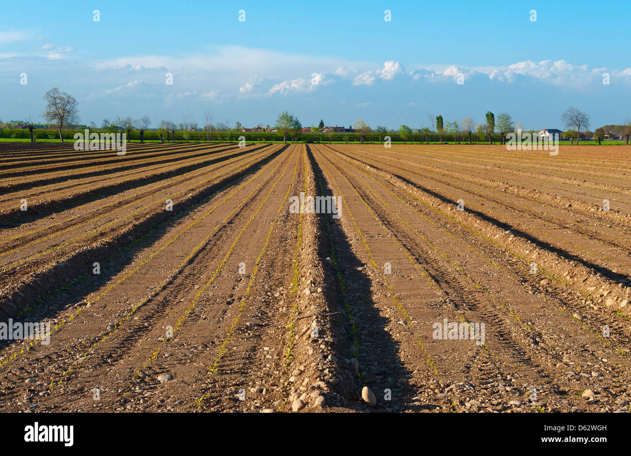 Cultivated and fallow farmland hi-res stock photography and images - Alamy