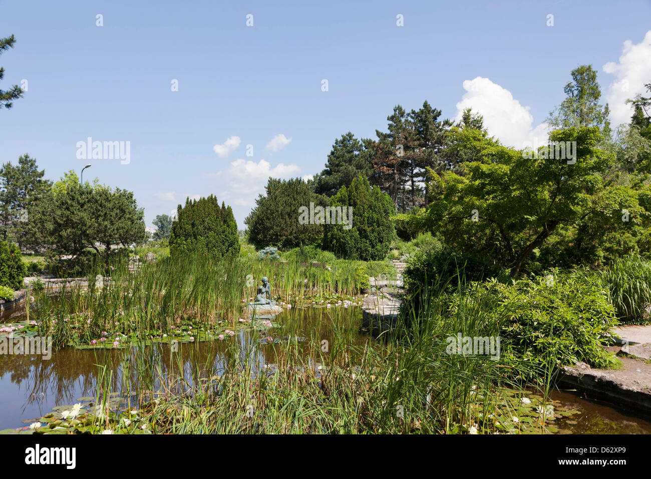 Margaret Island (Margitsziget) in Budapest, Hungary Stock Photo - Alamy