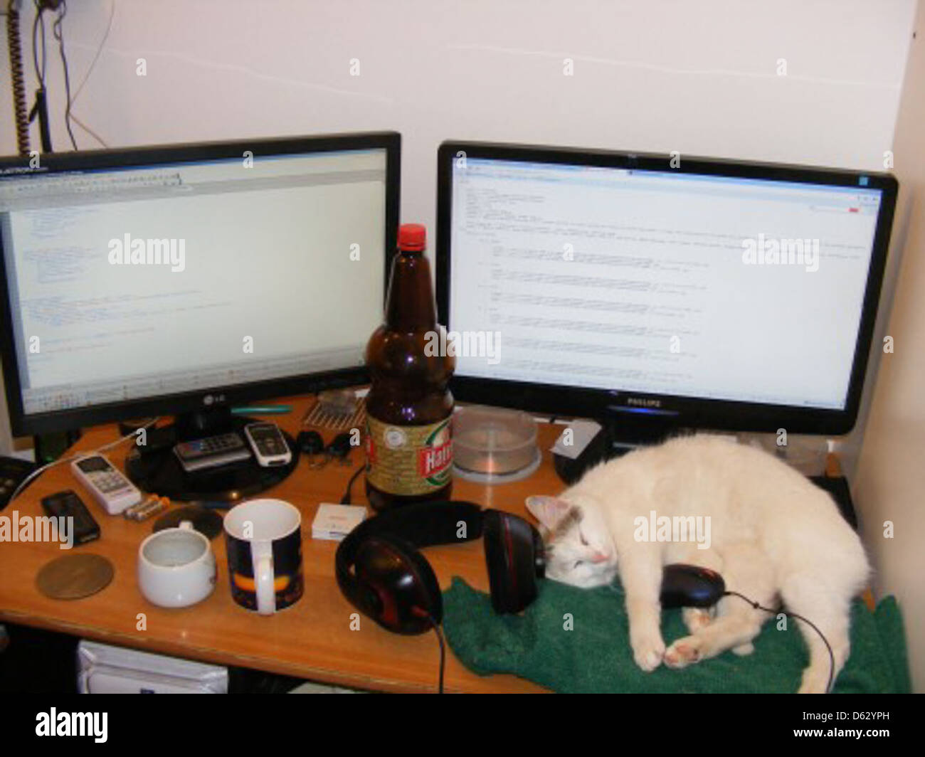 This image features a cat at work, humorously depicted in a setting ...