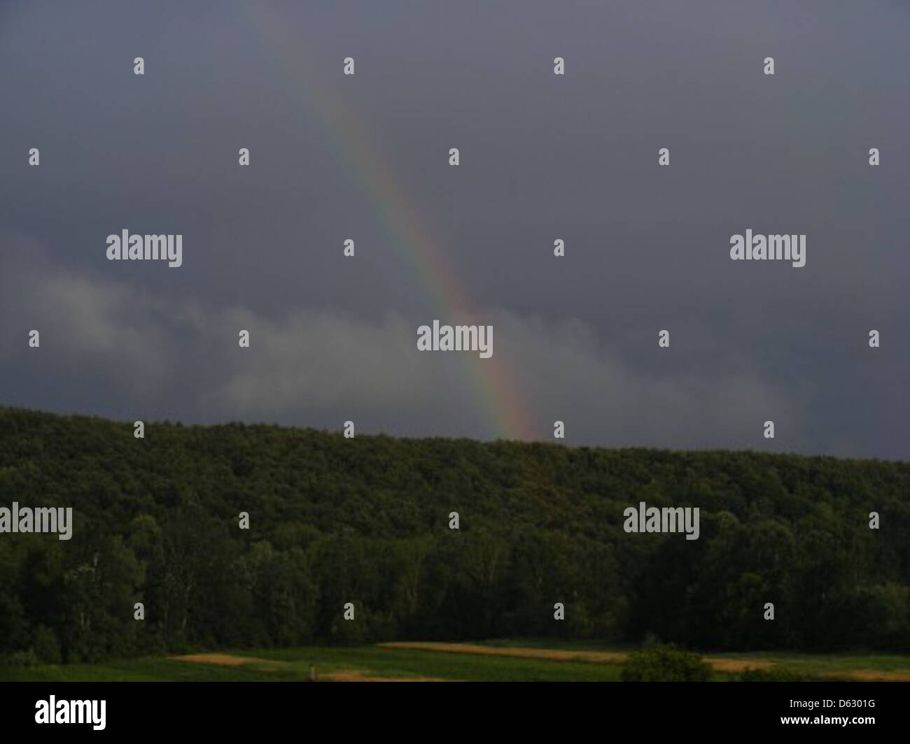 A vibrant rainbow arches over a forest, with the sun breaking through ...