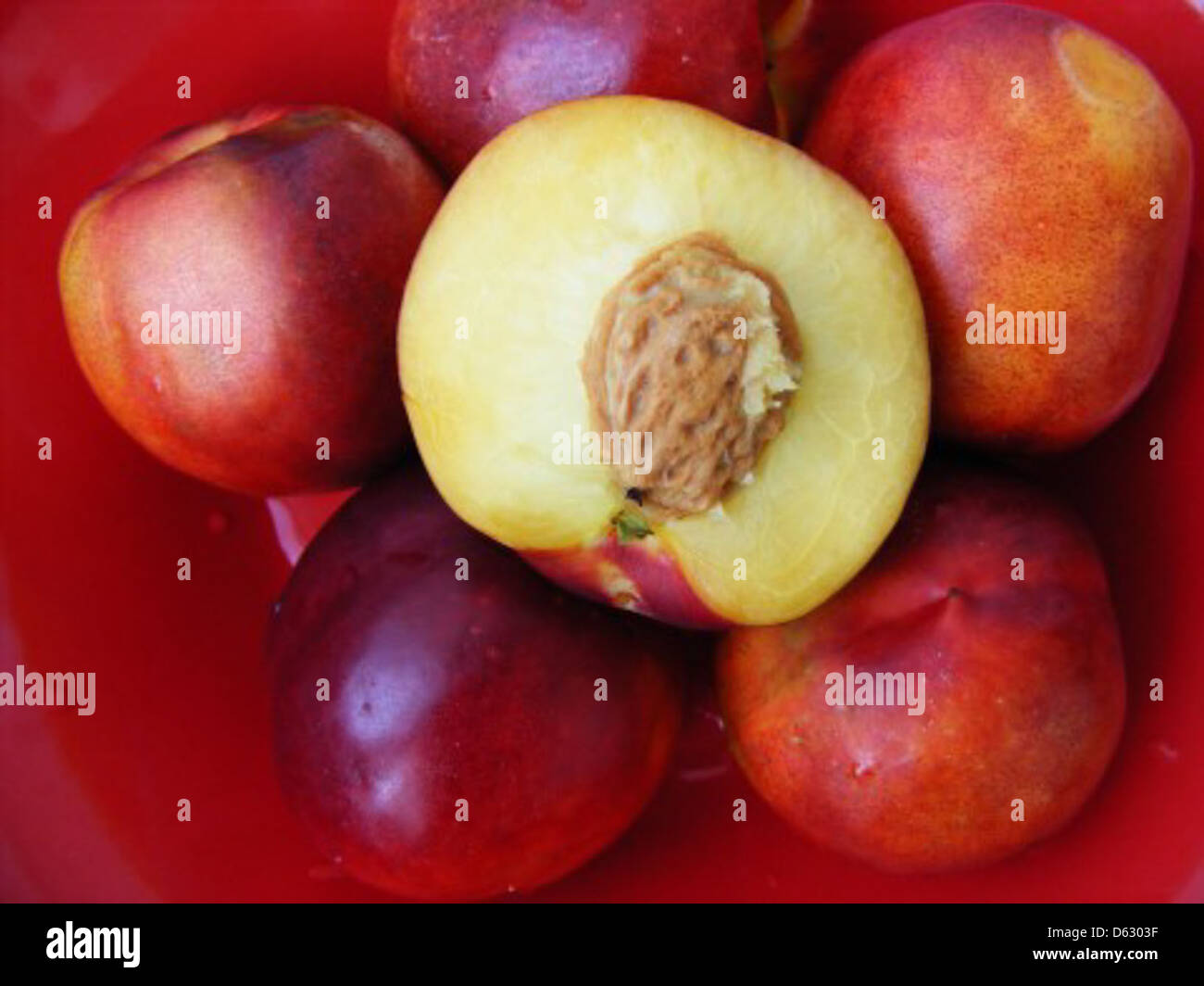 This image features a freshly cut nectarine fruit, showing its vibrant ...