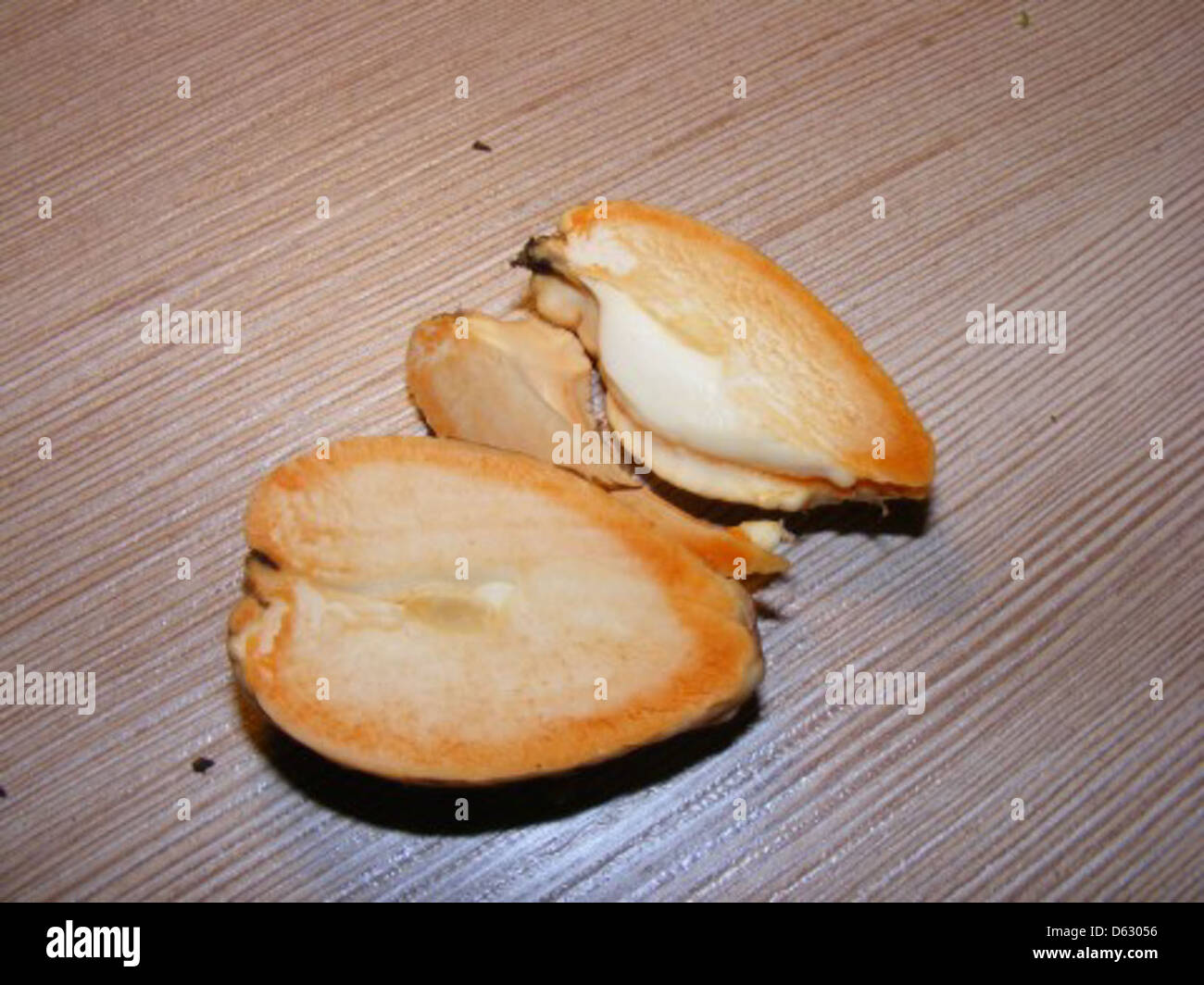 An avocado seed, also known as a pit, is the large seed inside the ...