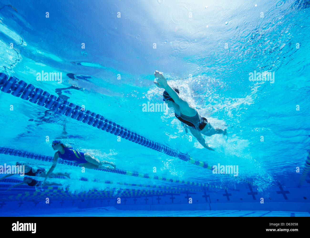Female swimmers swimming in pool Stock Photo - Alamy