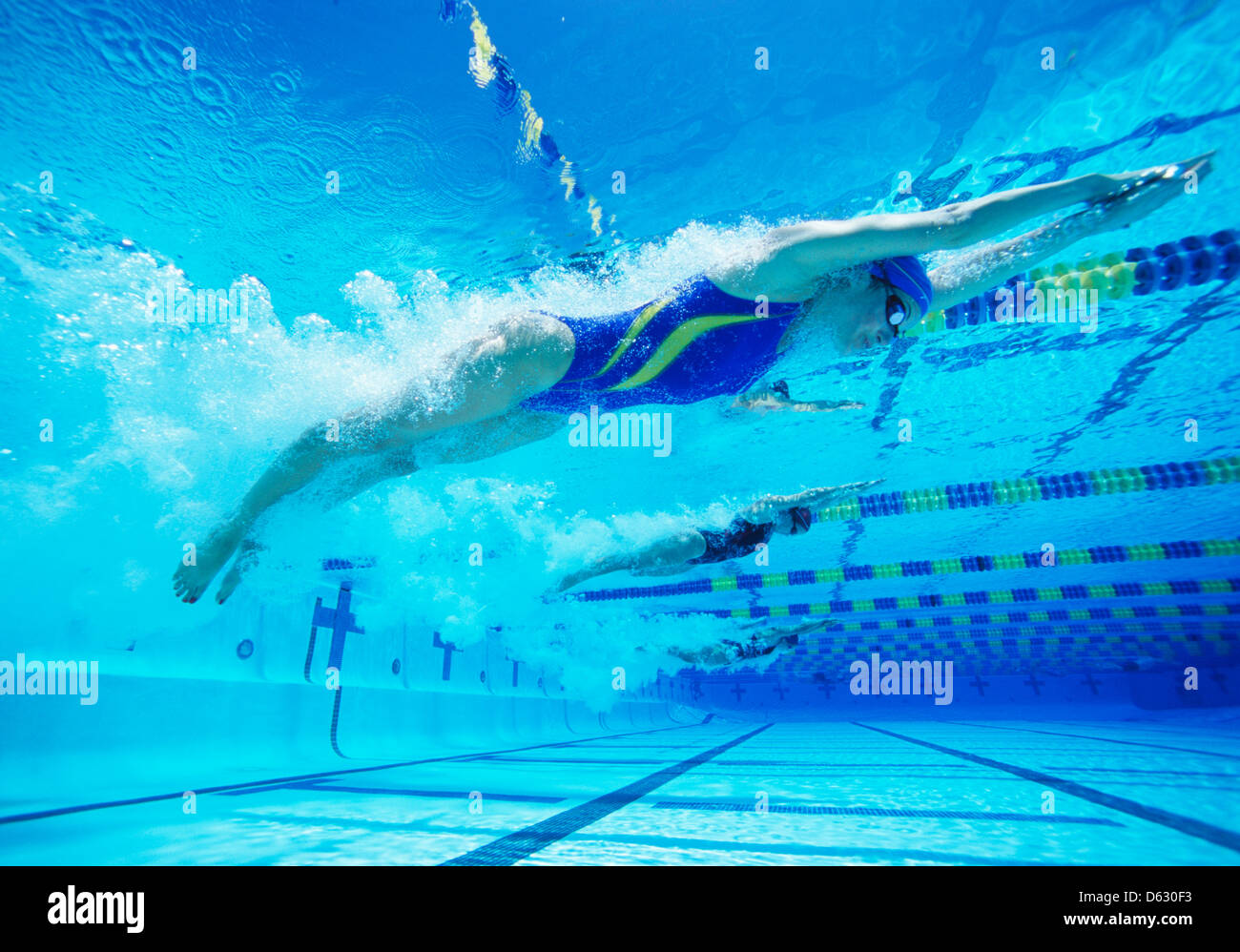 Young female professional participants racing in pool Stock Photo - Alamy