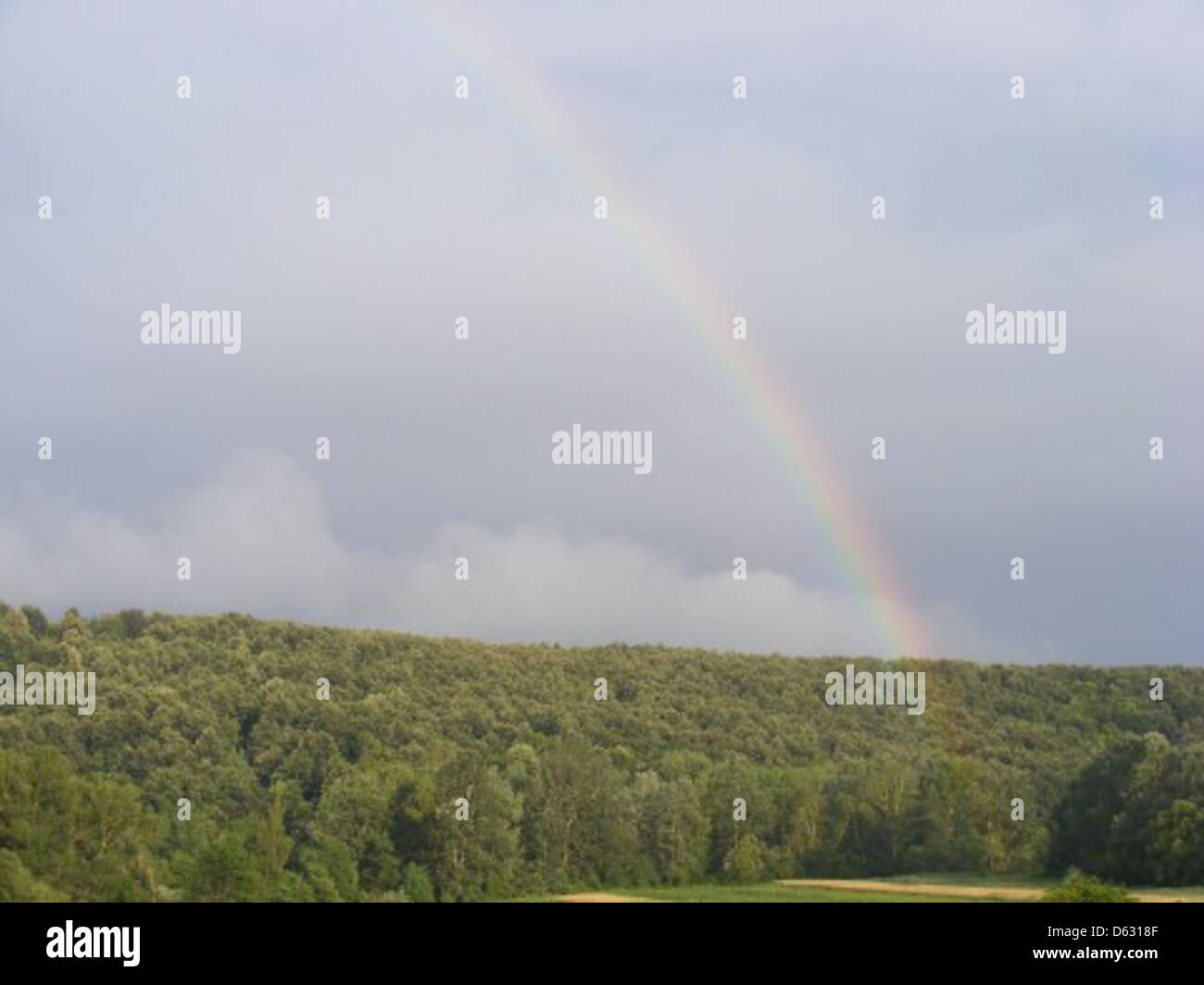 A vibrant rainbow stretches across a forest, creating a colorful ...