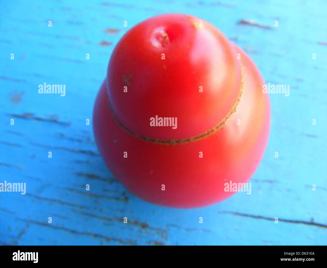 normal Red-Tomato-Natural 330716 Stock Photo - Alamy