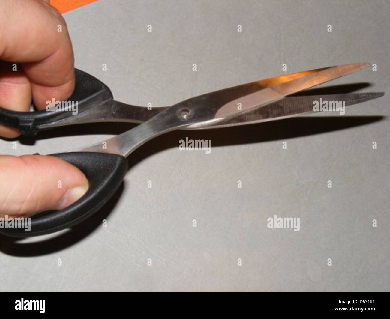 This image features a pair of stainless steel scissors, commonly used ...