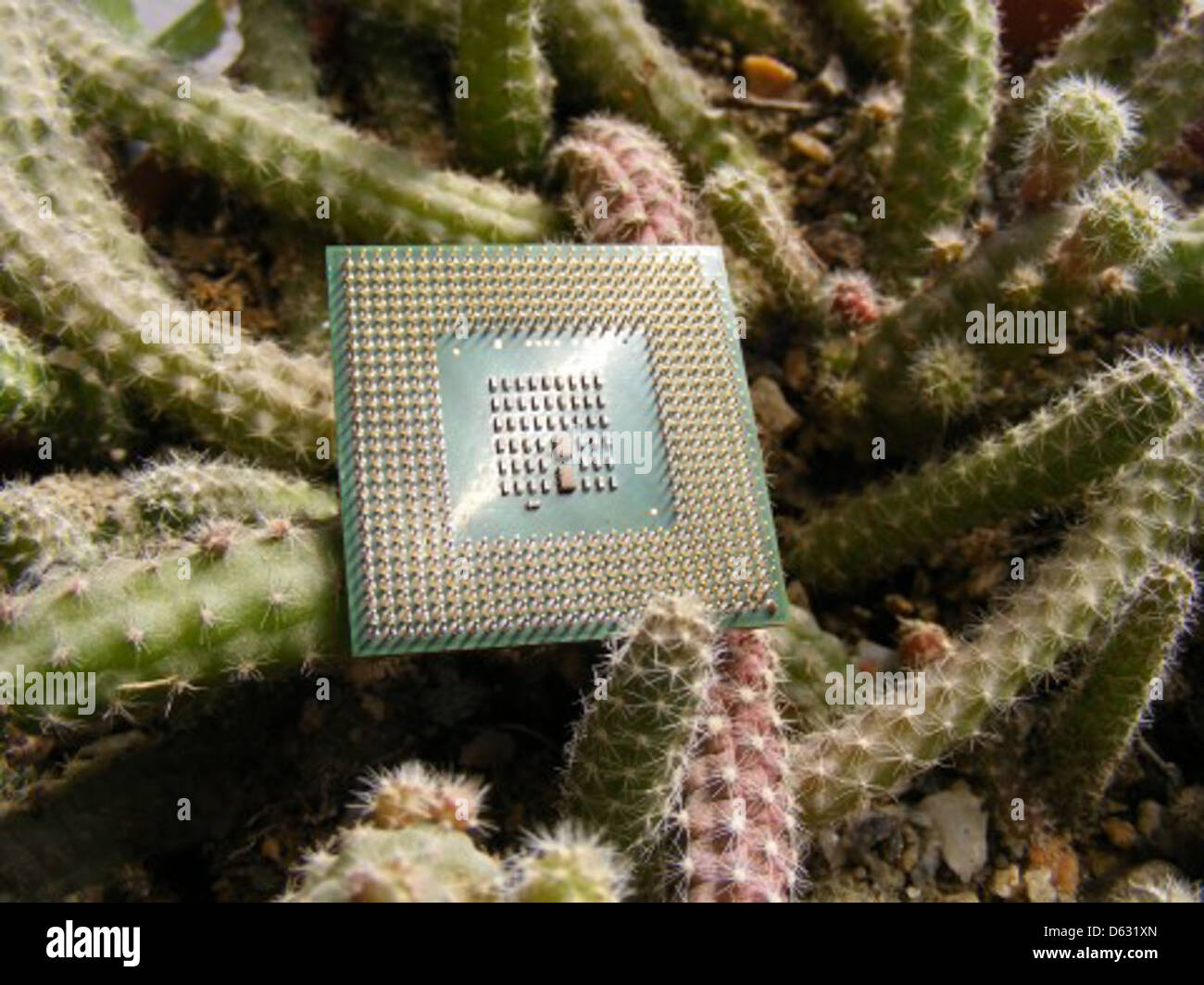 A close-up of an Intel Celeron D CPU, showcasing the processor's details and components. The ...