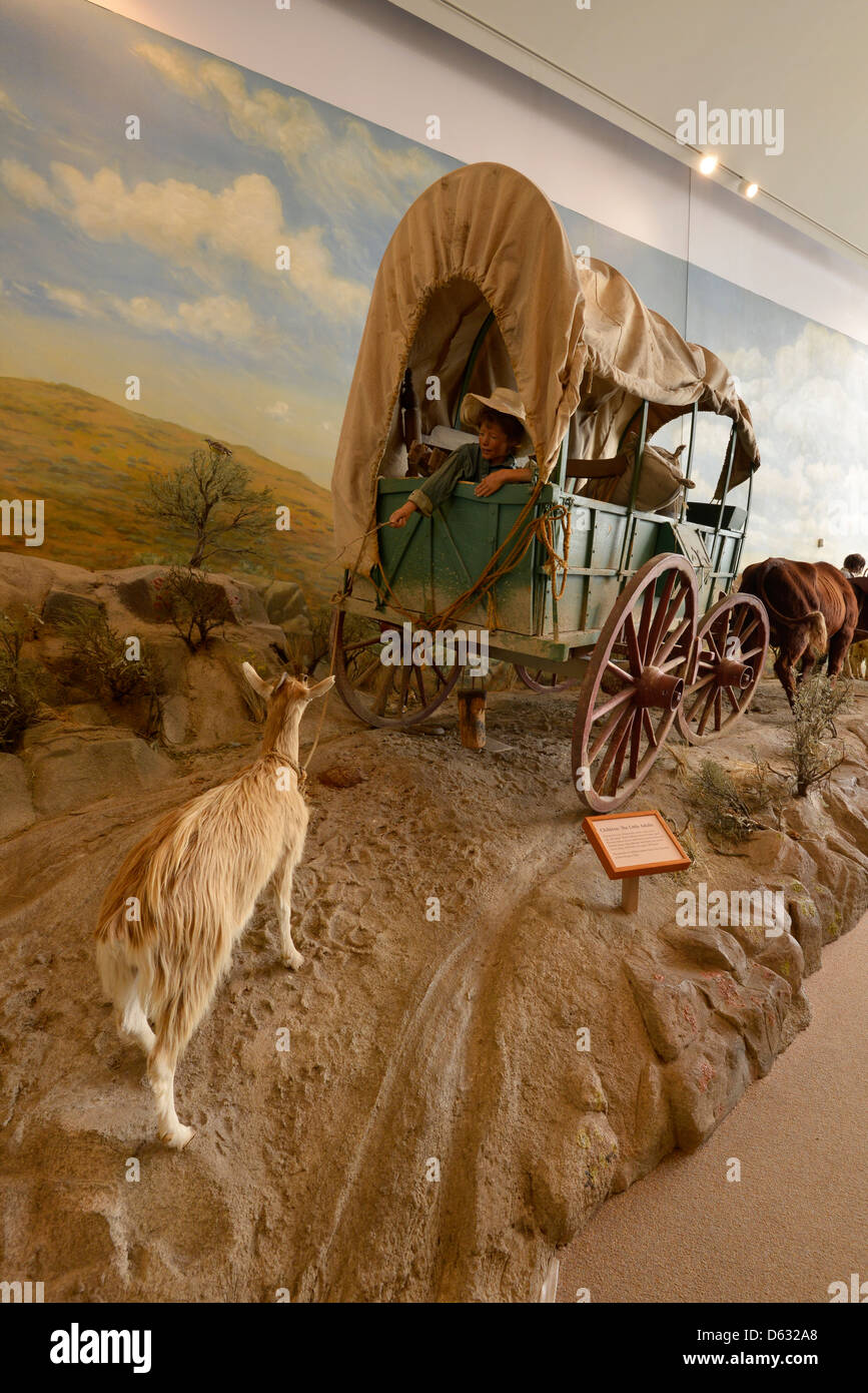 Diorama in the Oregon Trail Interpretive Center near Baker City, Oregon ...