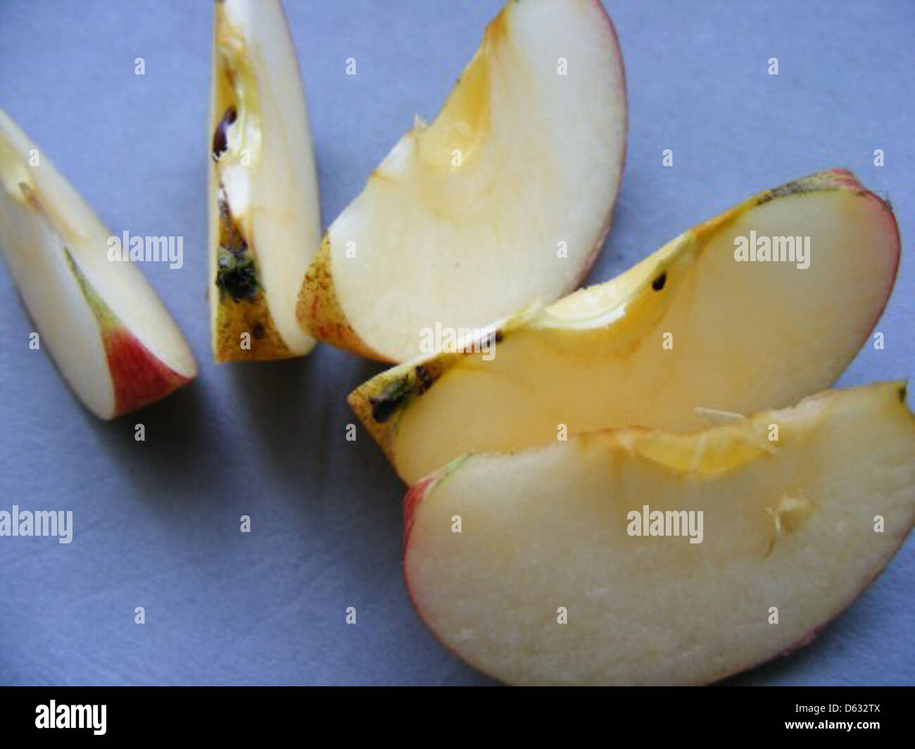 The image shows freshly cut apple slices, showcasing the crisp texture ...