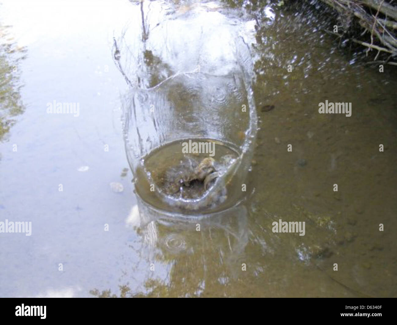 This image shows circular wave rings formed in water, created by drops ...