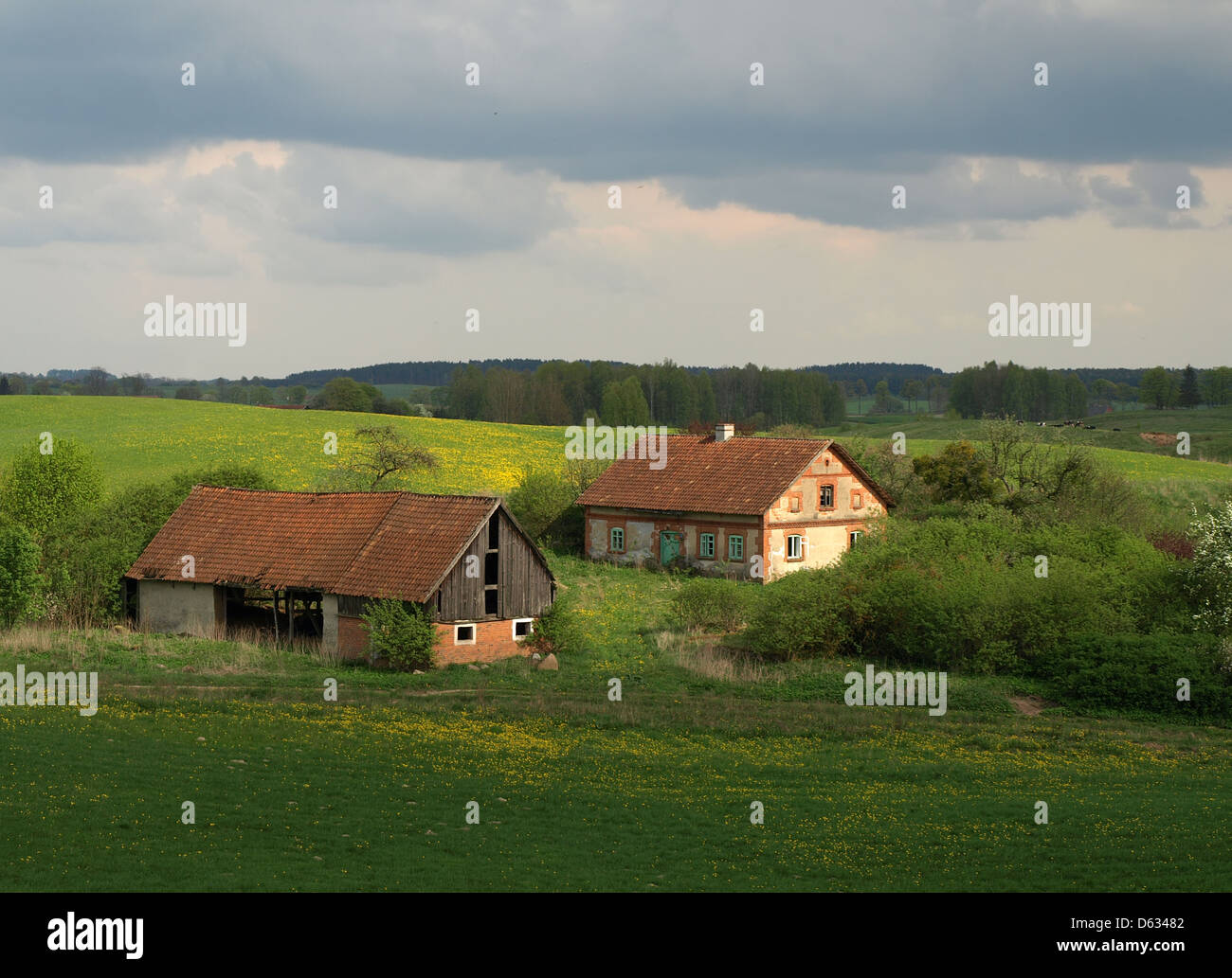 Resting in old barn hi-res stock photography and images - Alamy