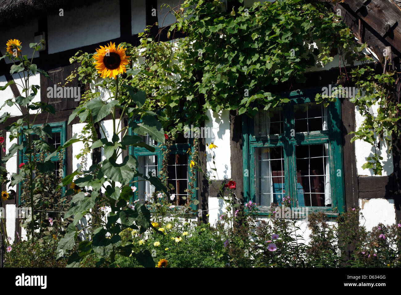 Koeslin hi-res stock photography and images - Alamy