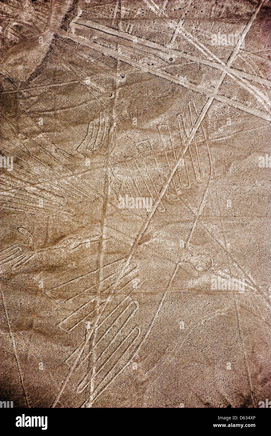 Condor, Lines and Geoglyphs of Nasca, Unesco World Heritage Site, Peru ...