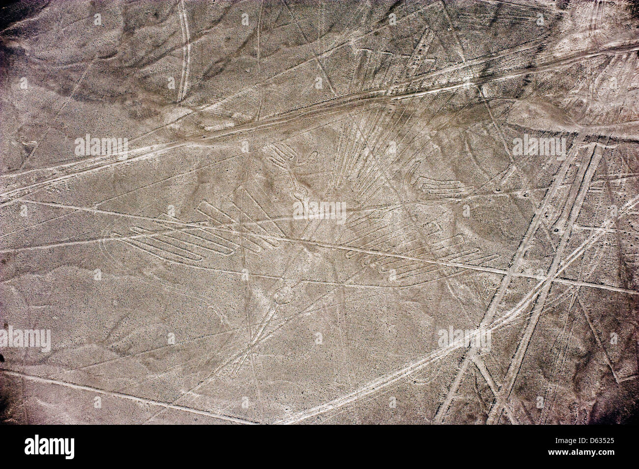 Condor, Lines and Geoglyphs of Nasca, Unesco World Heritage Site, Peru ...