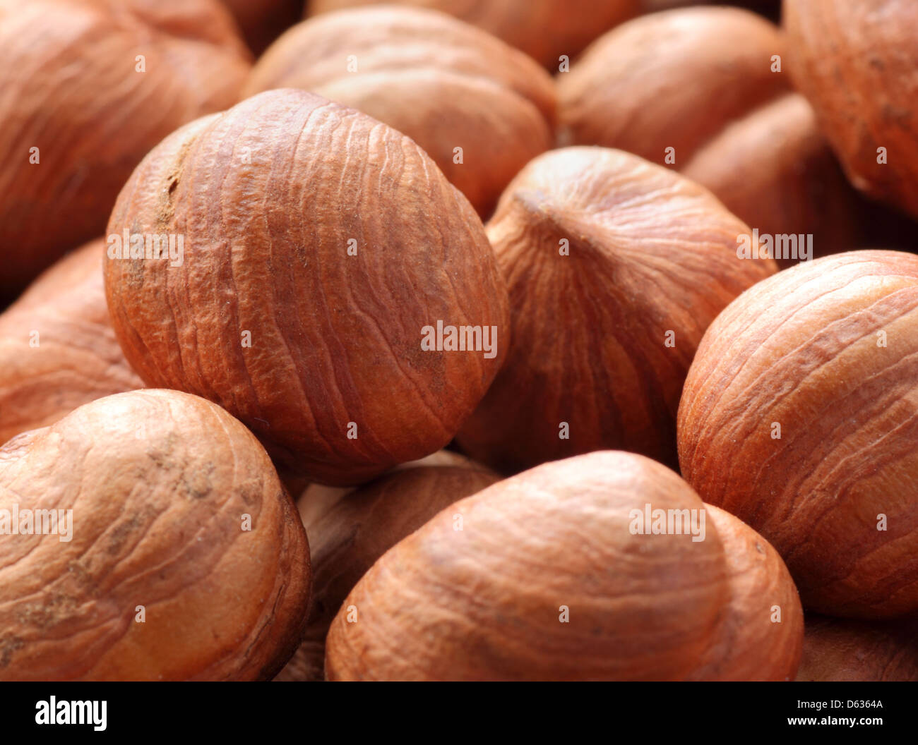close up of hazel nuts Stock Photo - Alamy