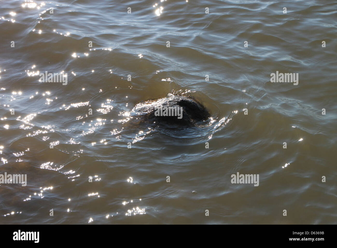The Stanca in Dunare, captured using a Canon camera with a Tamron lens ...