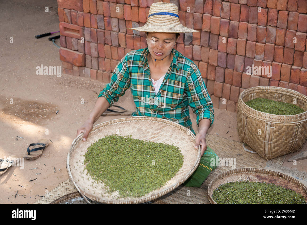 Sifting grain hi-res stock photography and images - Alamy