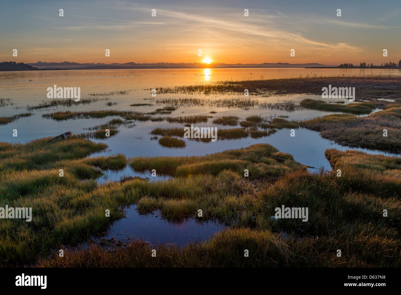 Royston hi-res stock photography and images - Alamy