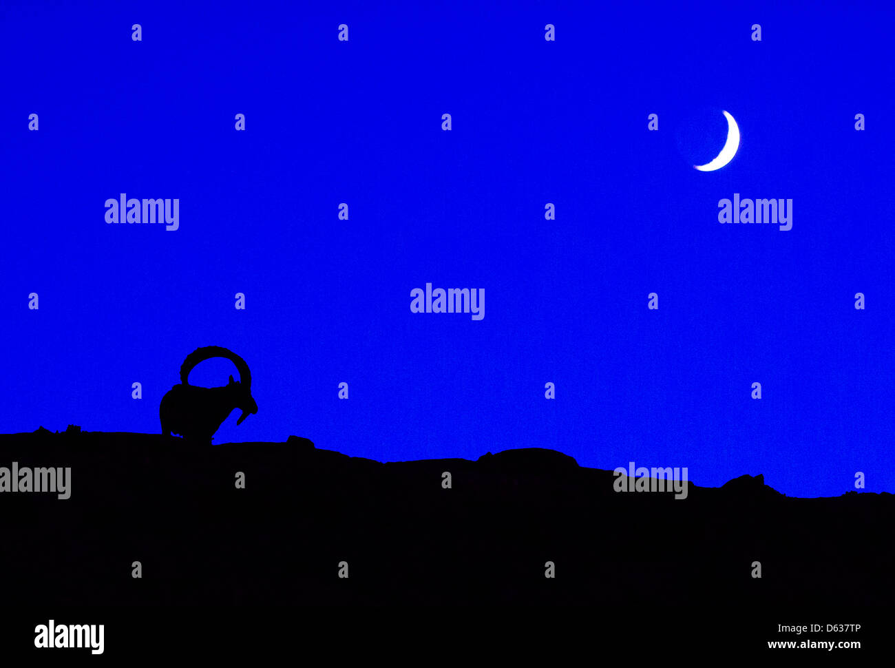 East crater moon hi-res stock photography and images - Alamy