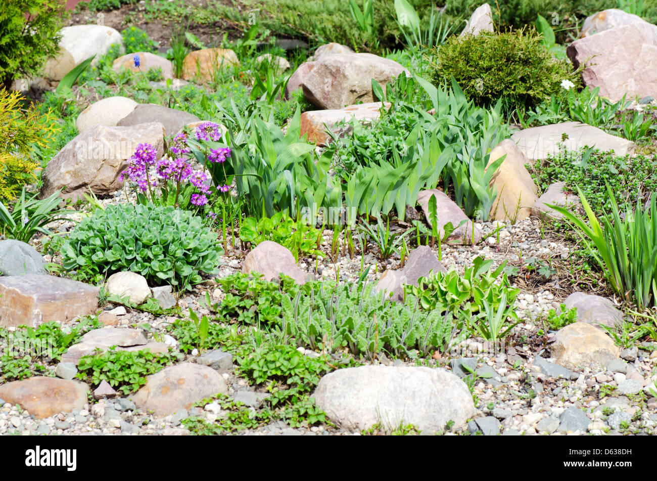 Beautiful spring flowers Stock Photo - Alamy