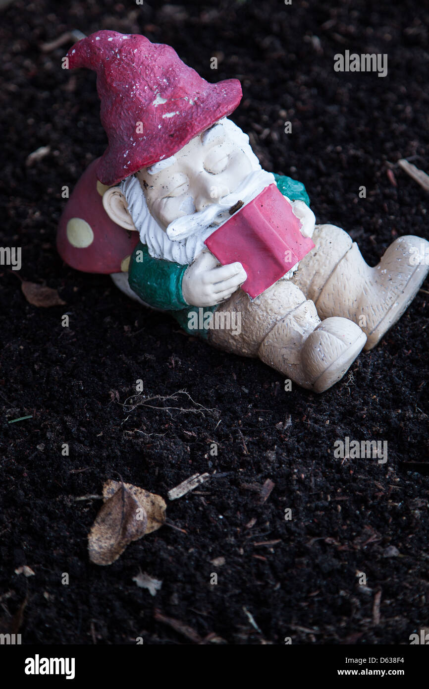 Dwarf book hi-res stock photography and images - Alamy