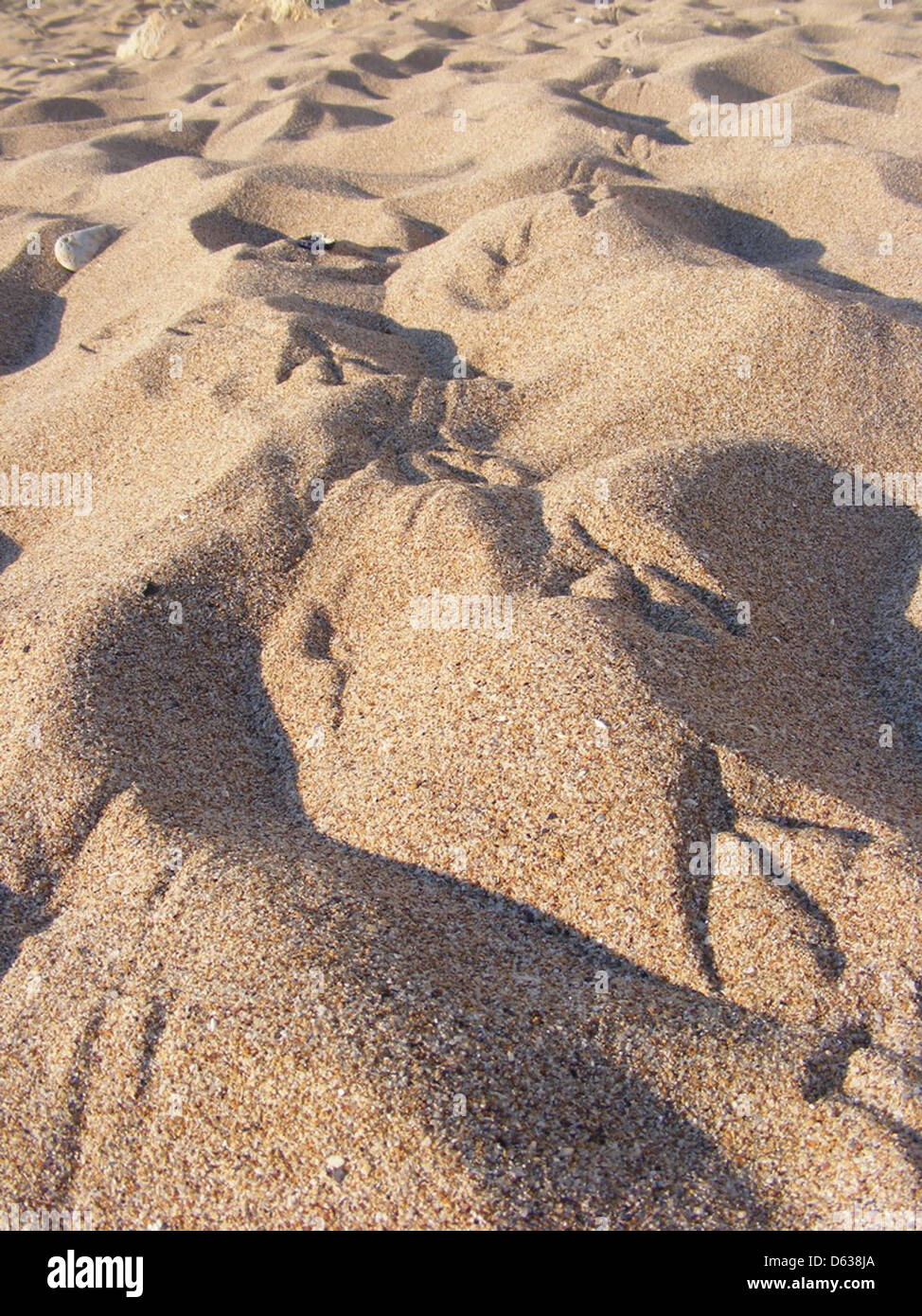 This image features sand dunes on a beach, capturing the natural ...