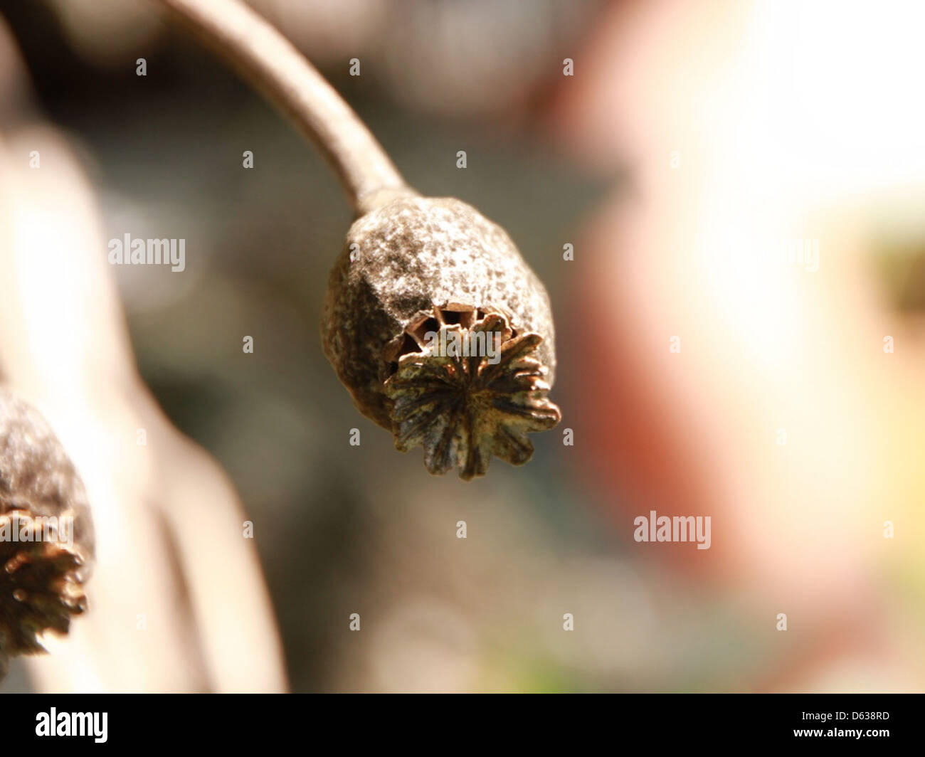 Publicphotos hi-res stock photography and images - Alamy