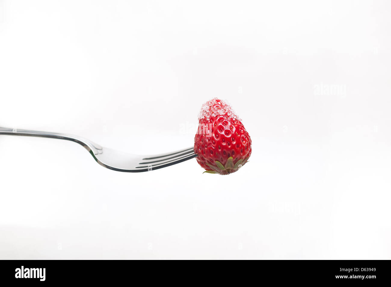 srawberry on a fork with sugar crust isolated over white Stock Photo ...