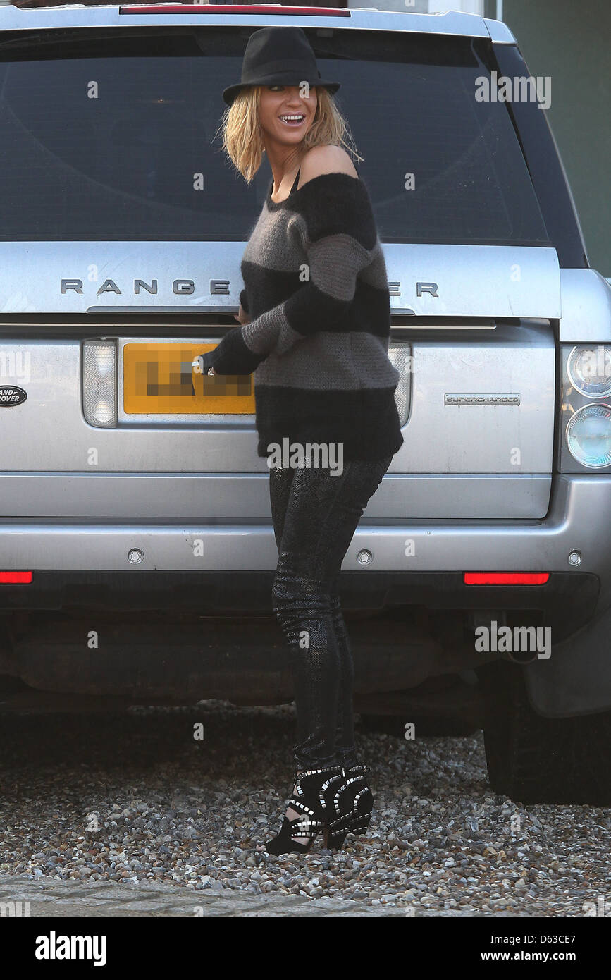 Sarah Harding takes her dogs to visit a friend London, England - 22.12. ...