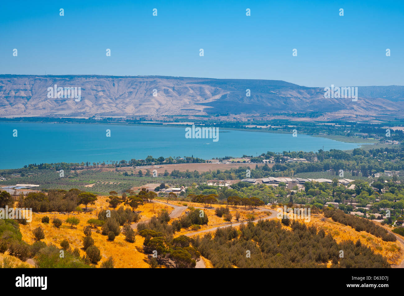 Palm sea of galilee tiberias hi-res stock photography and images - Alamy
