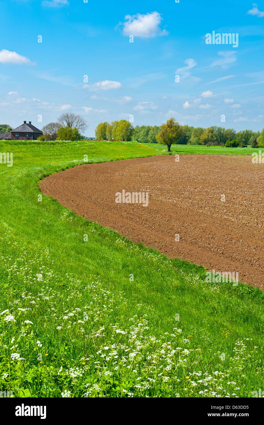 Seed furrow hi-res stock photography and images - Alamy