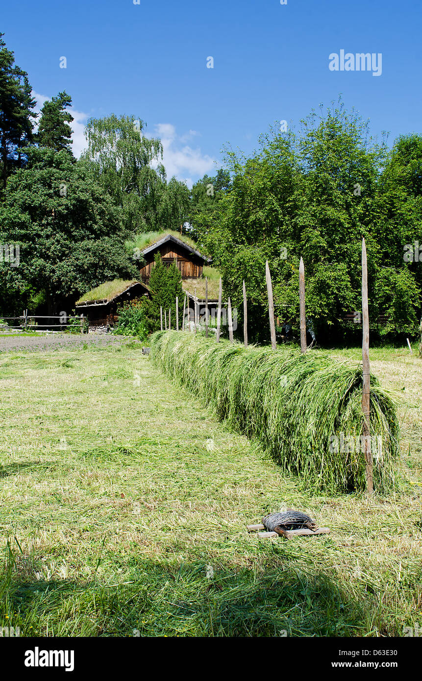 Norwegian shed hi-res stock photography and images - Alamy