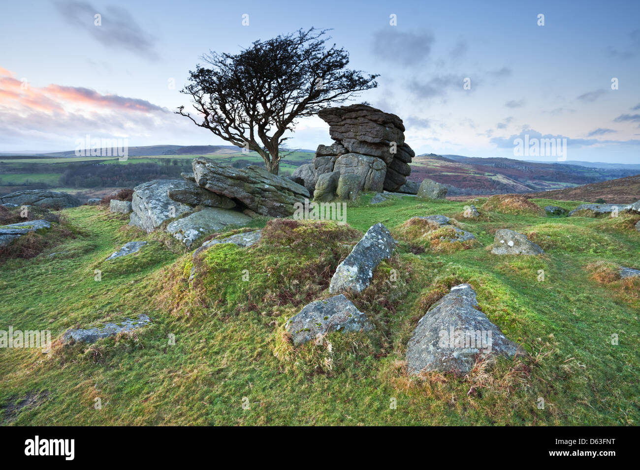 Rocks and hawthorn tree at holwell tor hi-res stock photography and ...