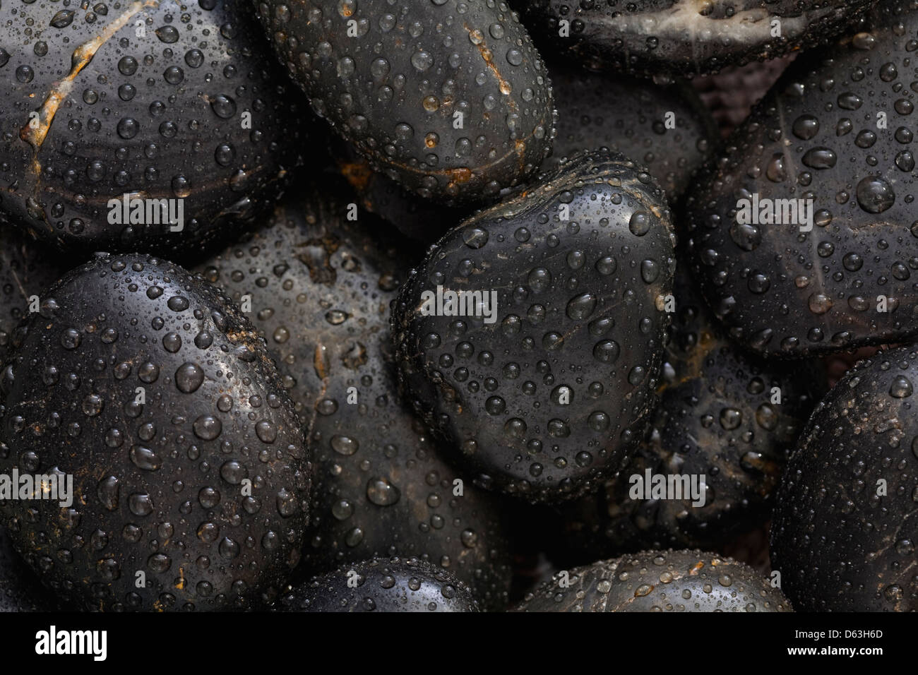 Pebble water studio hi-res stock photography and images - Alamy