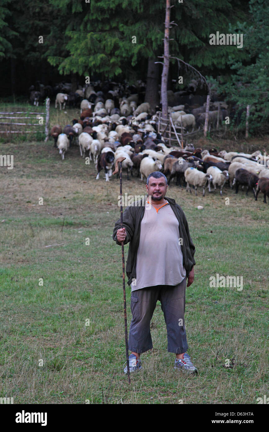 Shepherd with lamb hi-res stock photography and images - Alamy